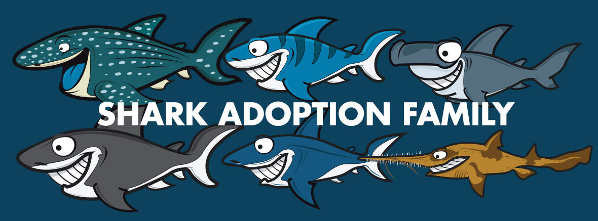 Shark Adoption Wall: 2023 | SHARK ANGELS