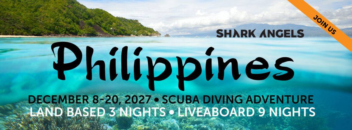 Philippines Scuba Diving Adventure with Shark Angels